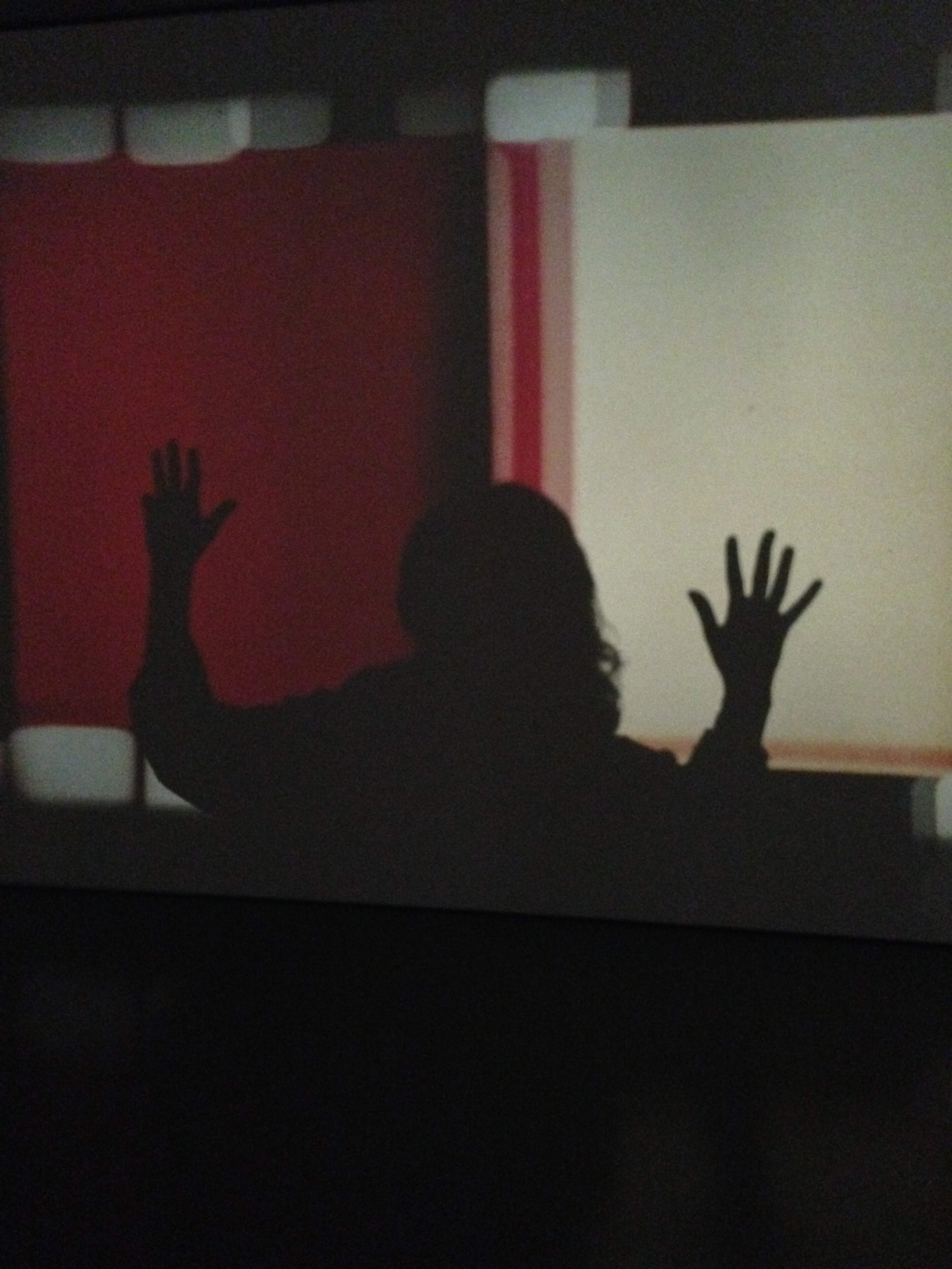 Sarah Sally in Germany at Sharits - Burchfield Penney Art Center